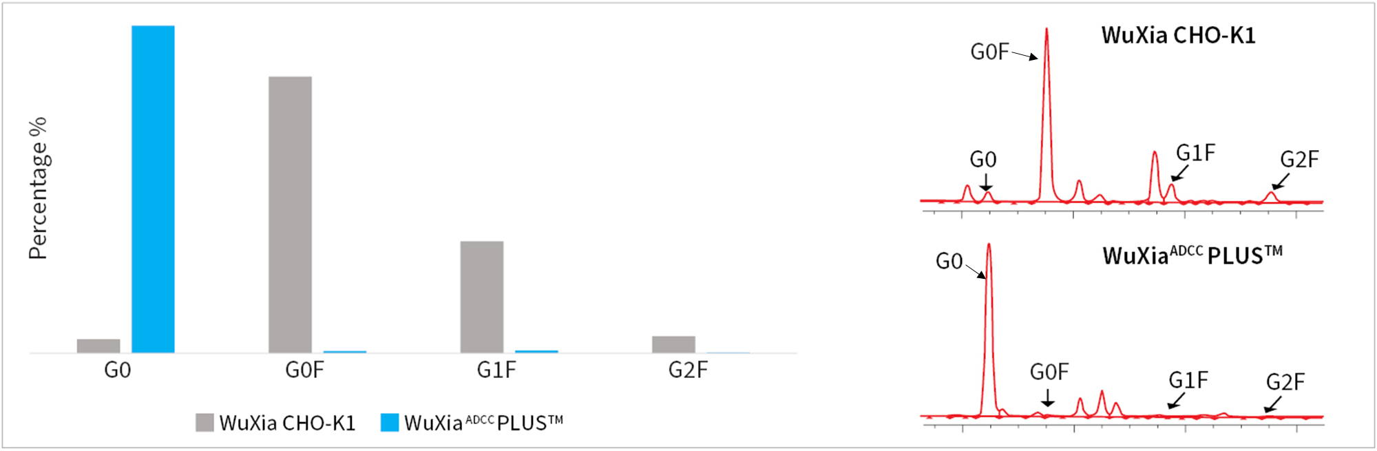 WuXia™ Cell Line Development