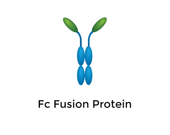 High-Quality Protein on Your Timeline