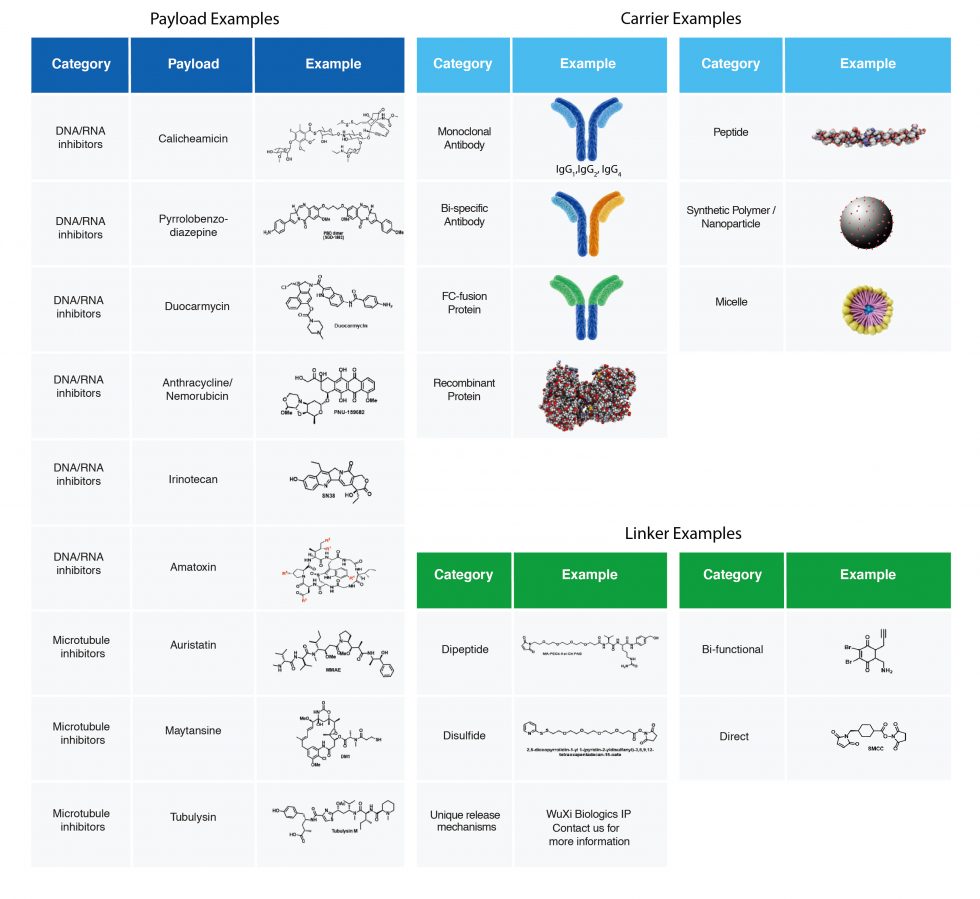 Bioconjugation Discovery