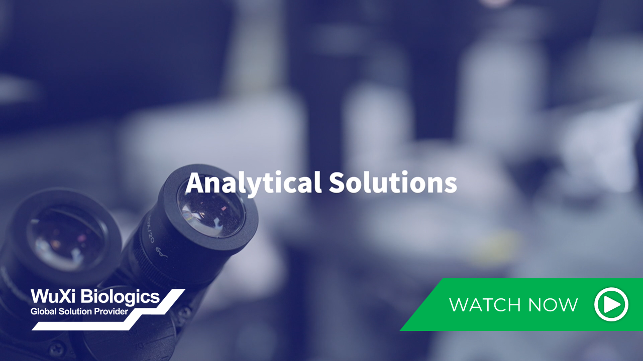 Analytical Solutions