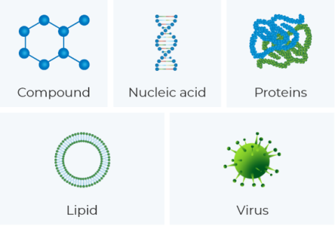 SPR & BLI Binding Assays Services | CRO Services
