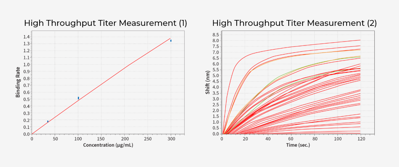 SPR & BLI Binding Assays Services | CRO Services