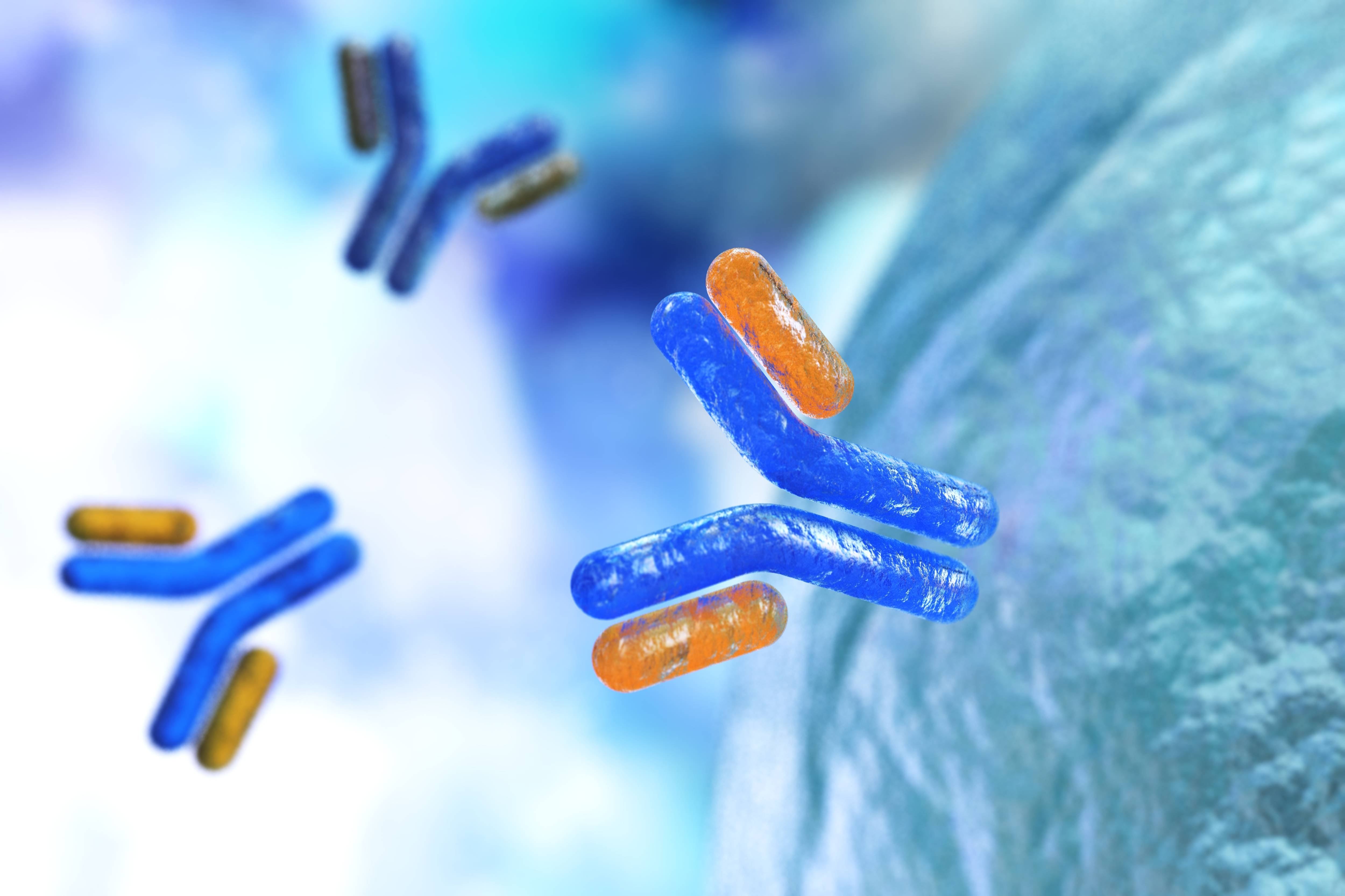 Bispecific T Cell Engager Assays | In Vitro Assays Services | WuXi ...