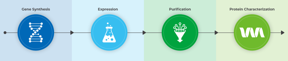 Protein Production Services | CRO Services | WuXi Biologics