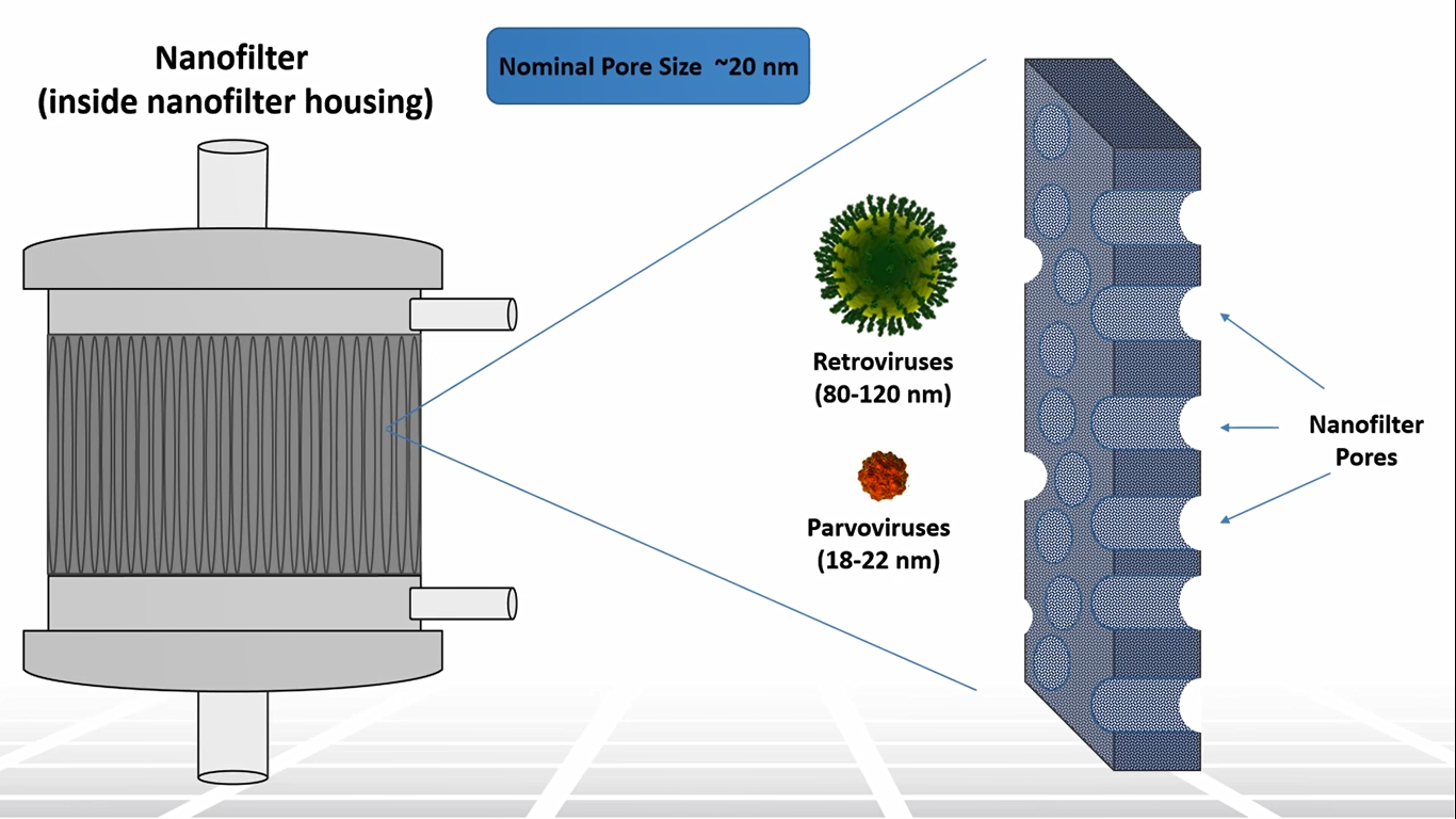 Viral Safety in Biomanufacturing Part 6 – Nanofiltration – Two Minute ...