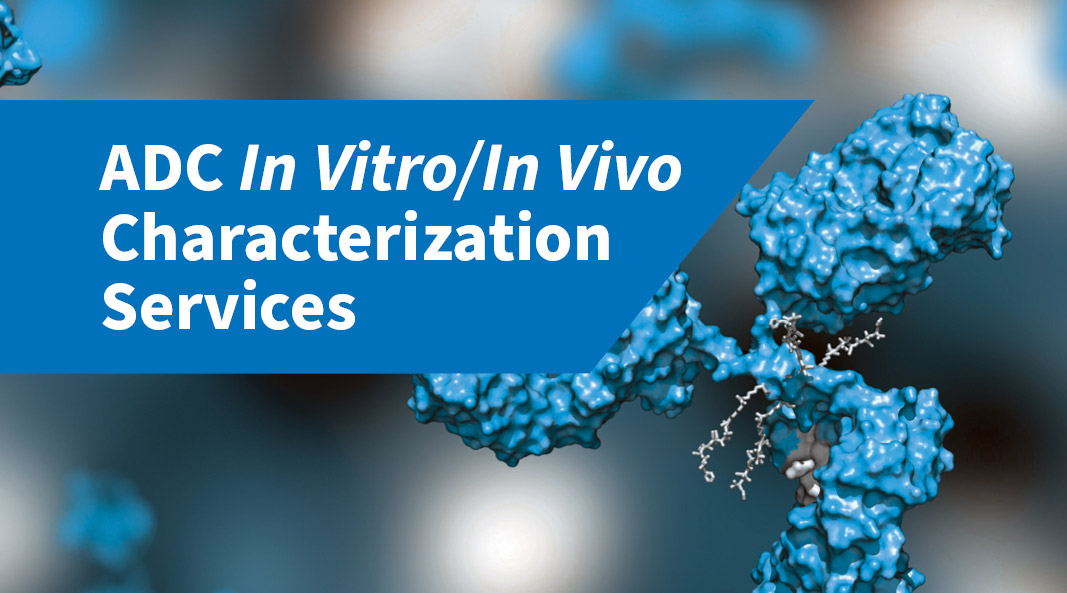 ADC In vitro / In vivo Characterization Service Overview