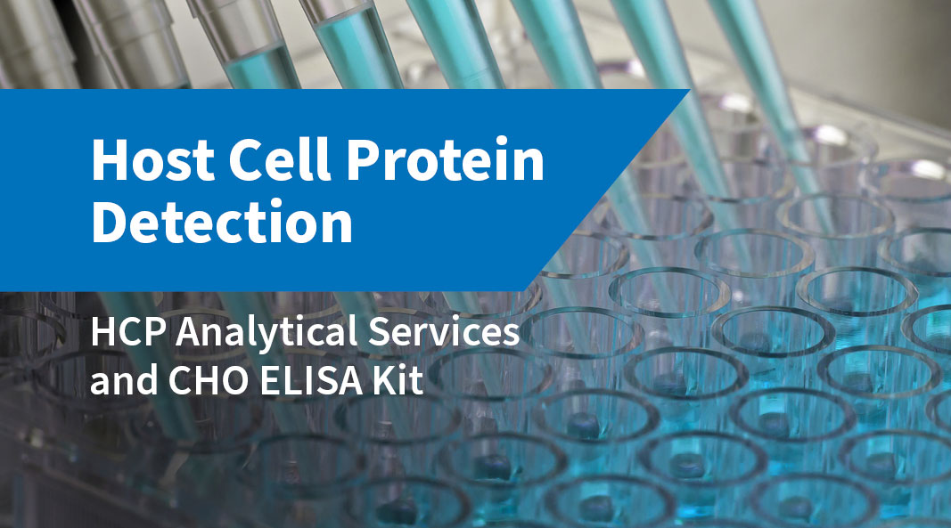 Host Cell Protein (HCP) Detection Service Overview