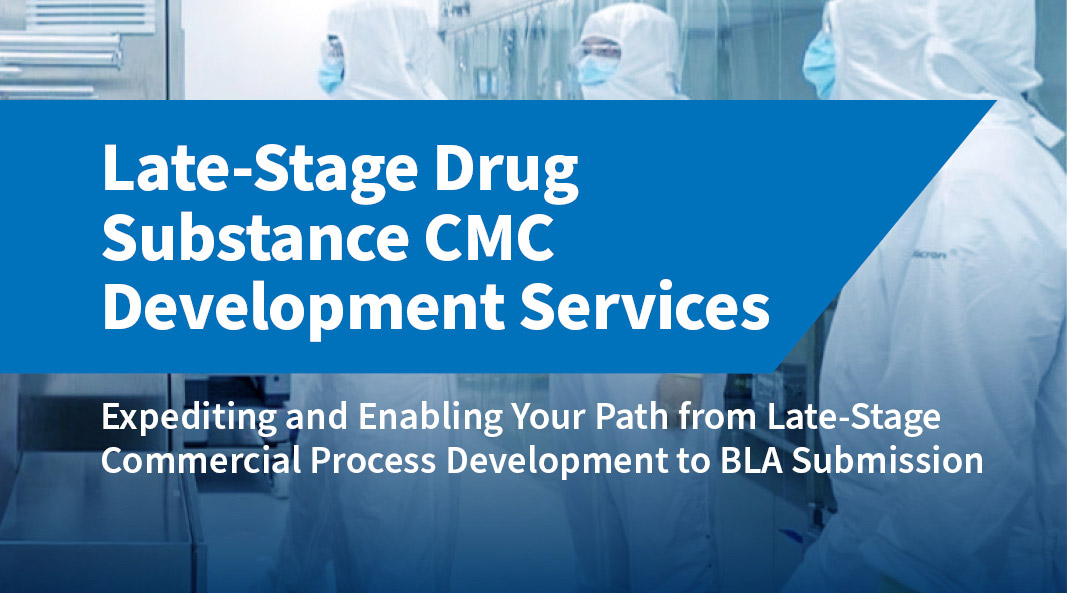 Drug Substance CMC Service Overview