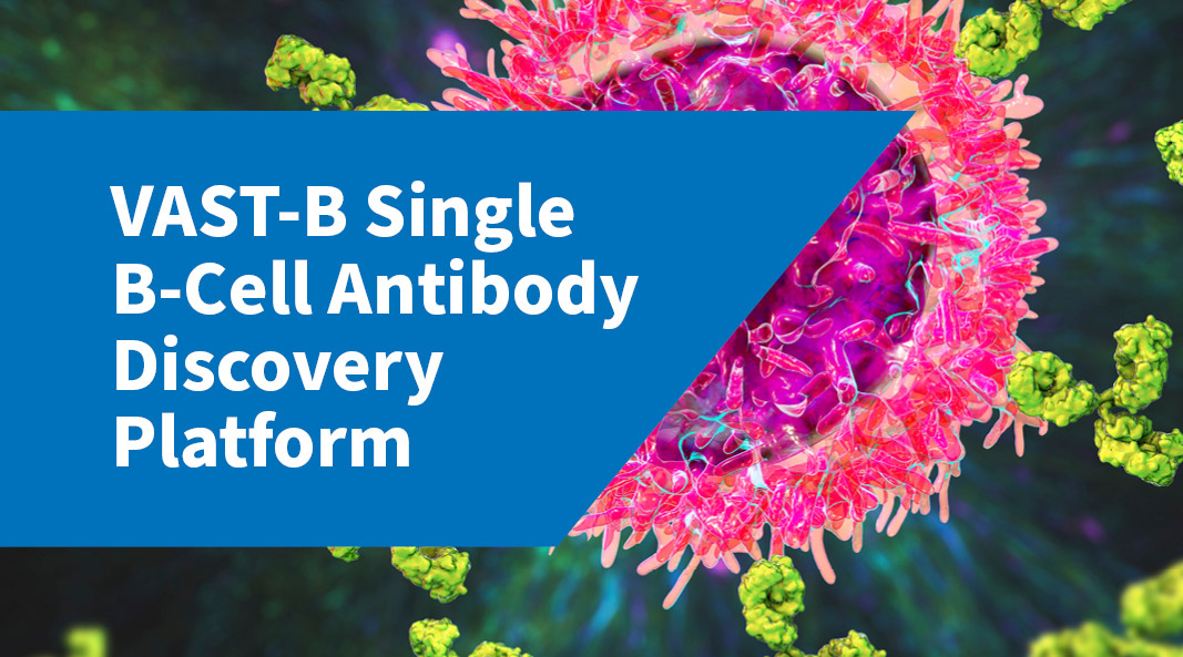 VAST-B Antibody Discovery Service Overview