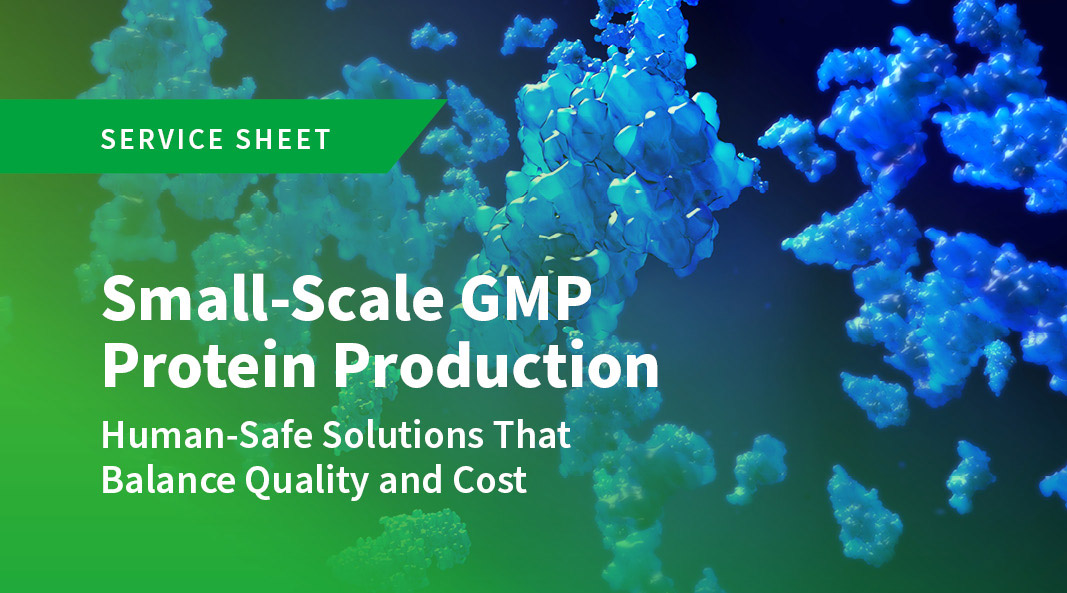 Human-Safe Proteins: Small-Scale GMP Protein Production