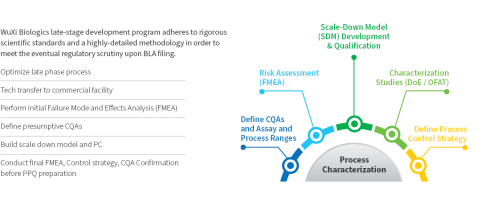 Accelerated IND to BLA Filing Services