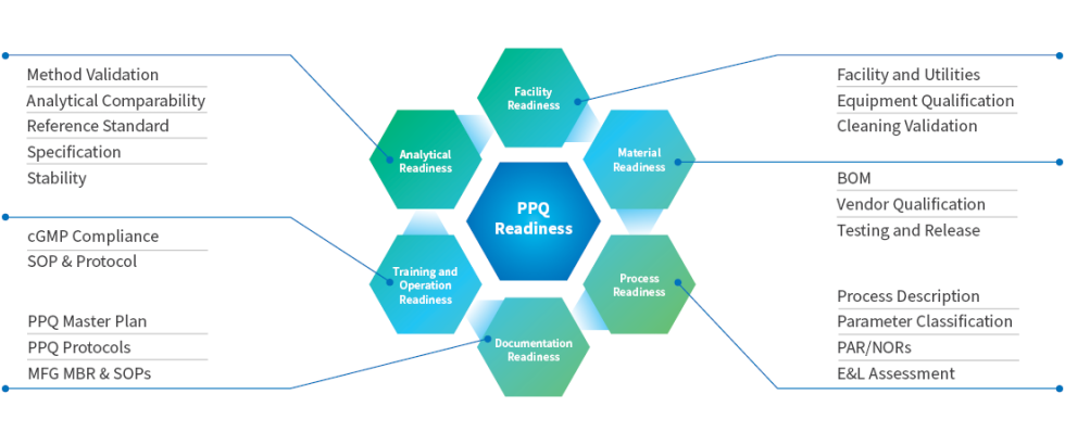 Accelerated IND to BLA Filing Services