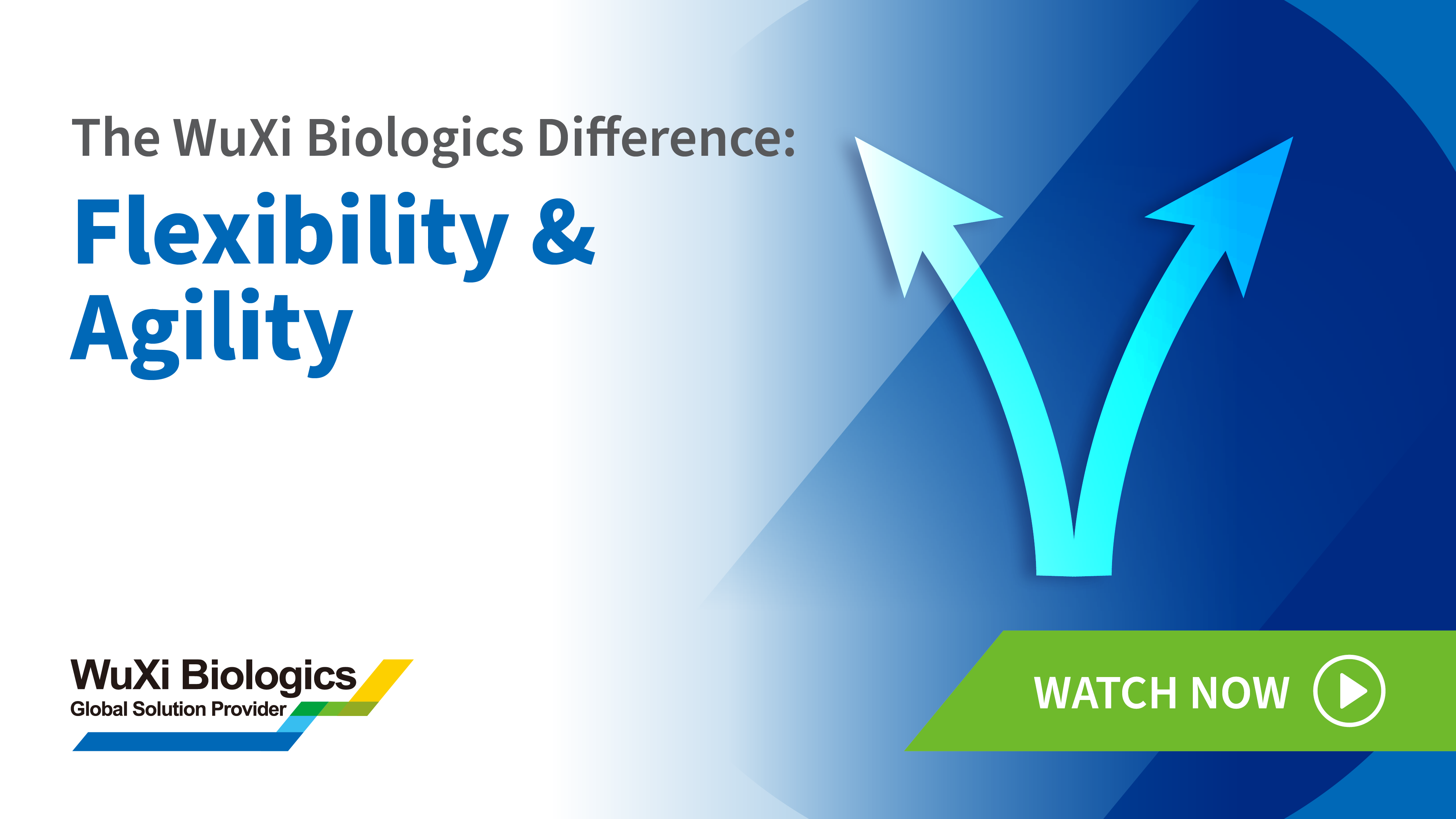 The WuXi Biologics Difference: Flexibility & Agility