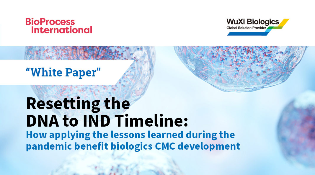 Resetting the DNA to IND Timeline: How Applying the Lessons Learned During the Pandemic Benefit ...
