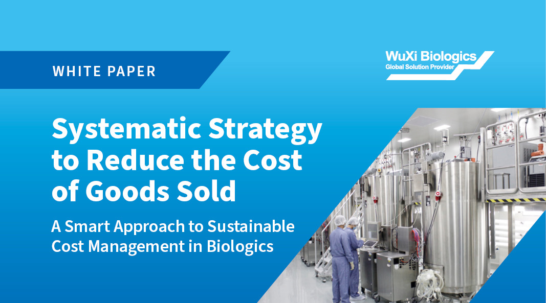 Systematic Strategy to Reduce the Cost of Goods Sold
