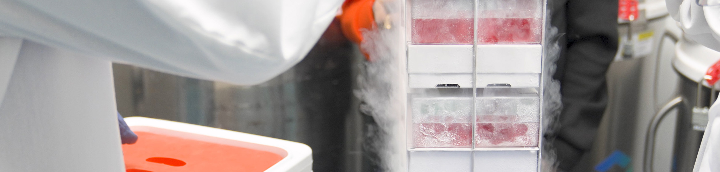 GMP Cell Banking Services