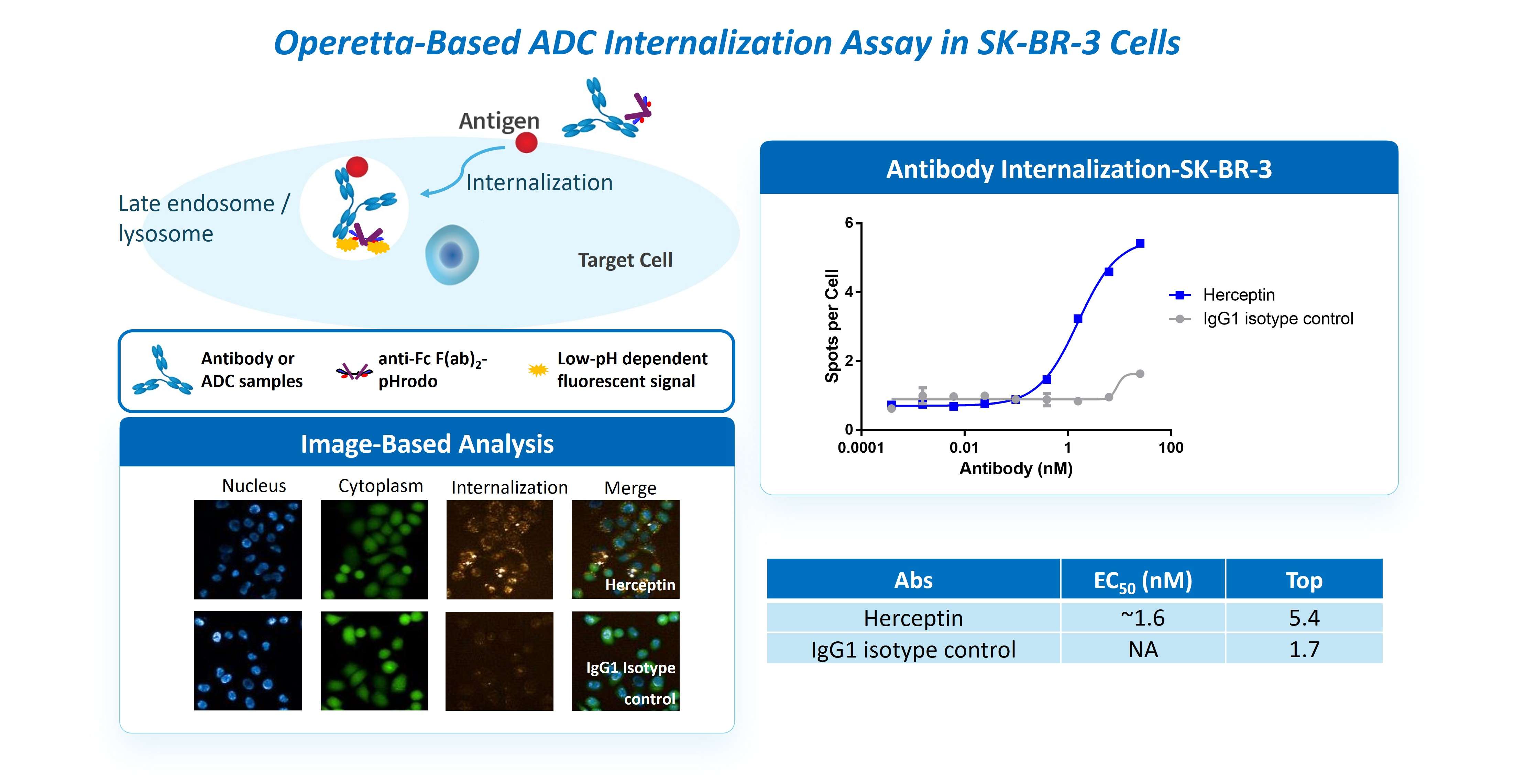 Protected: ADC Assay Services | CRO Services | WuXi Biologics