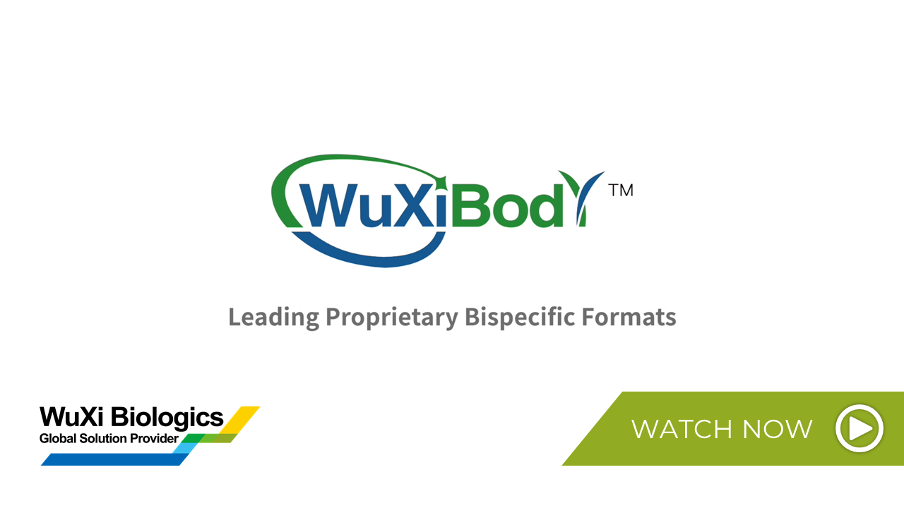 WuXiBody™